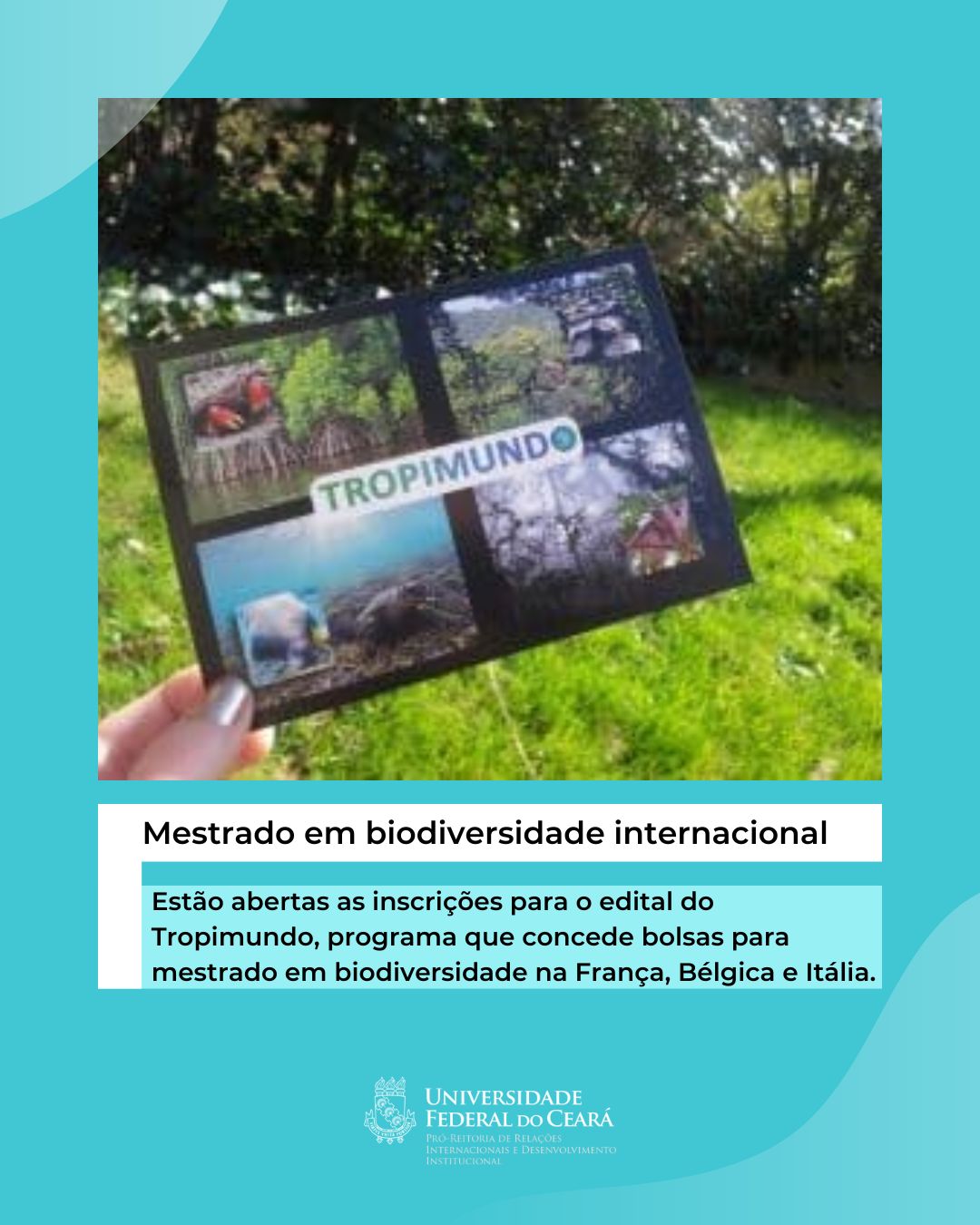 Estão abertas as inscrições para o edital do Tropimundo, programa que ...